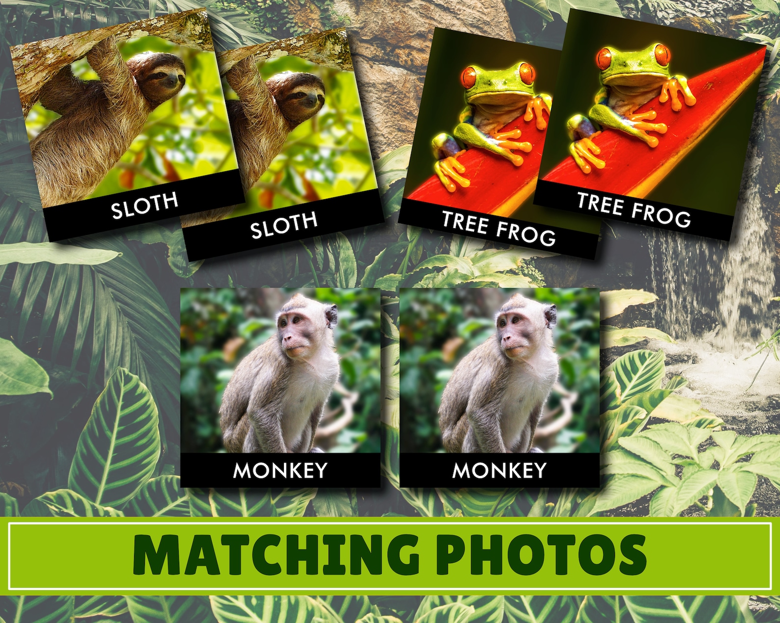 Rainforest Animals Matching Cards | Digital Download | Montessori ...
