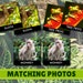 Rainforest Animals Matching Cards Digital Download Montessori Inspired ...