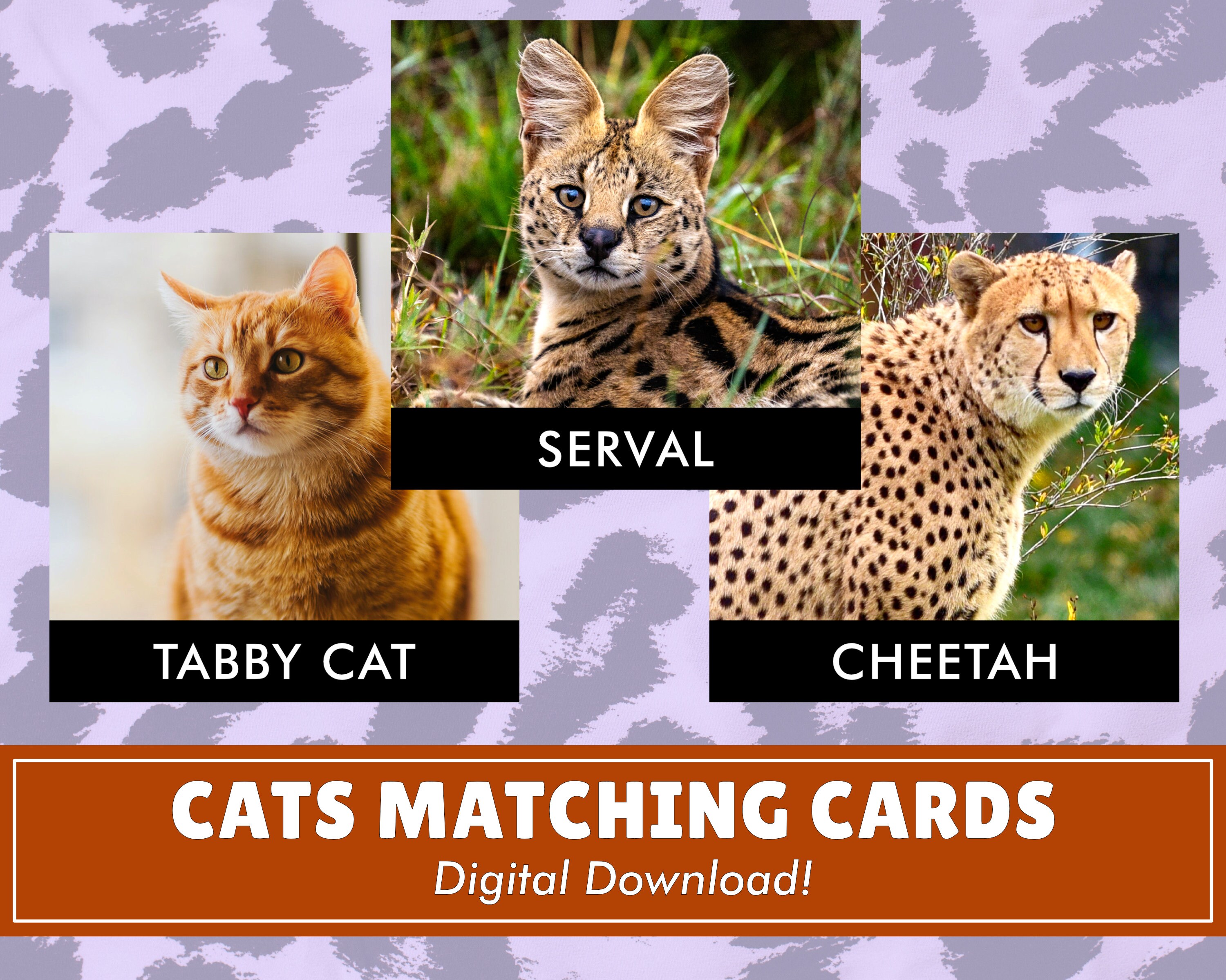 Cats Matching Cards | Digital Download | Montessori Inspired ...
