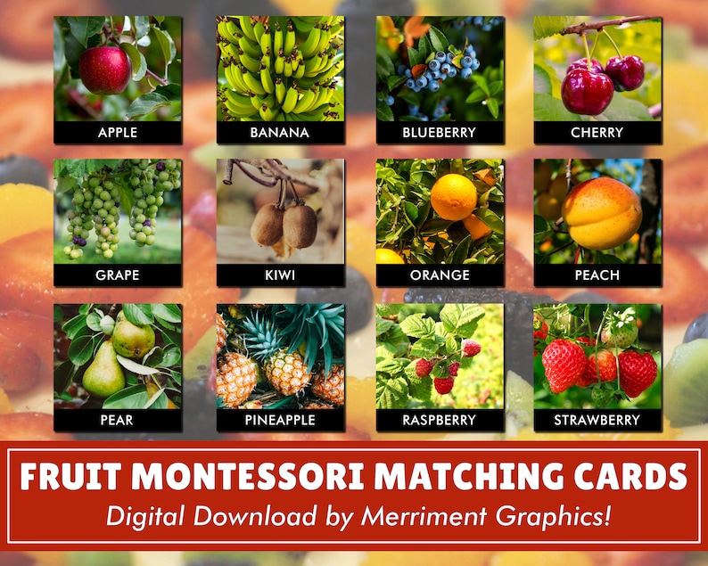 Fruit 3 Part Matching Cards | Digital Download | Montessori Inspired ...