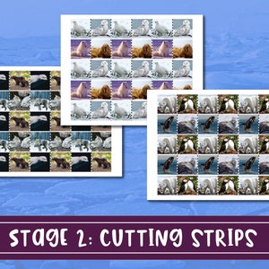 Arctic Animal Cutting Sheets | Digital Download | Montessori Inspired ...