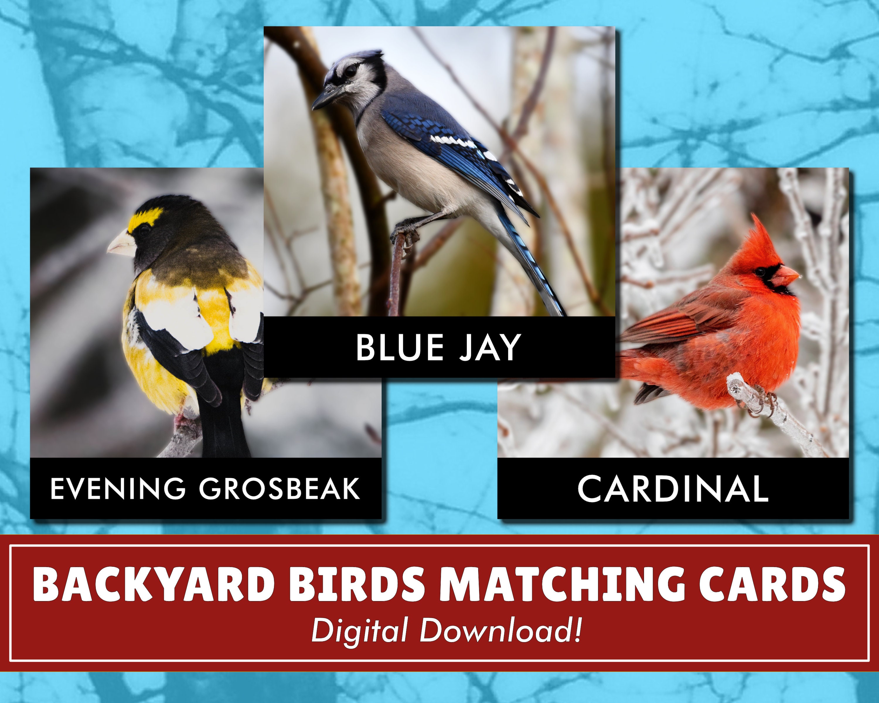 Backyard Birds Matching Cards | Digital Download | Montessori Inspired ...