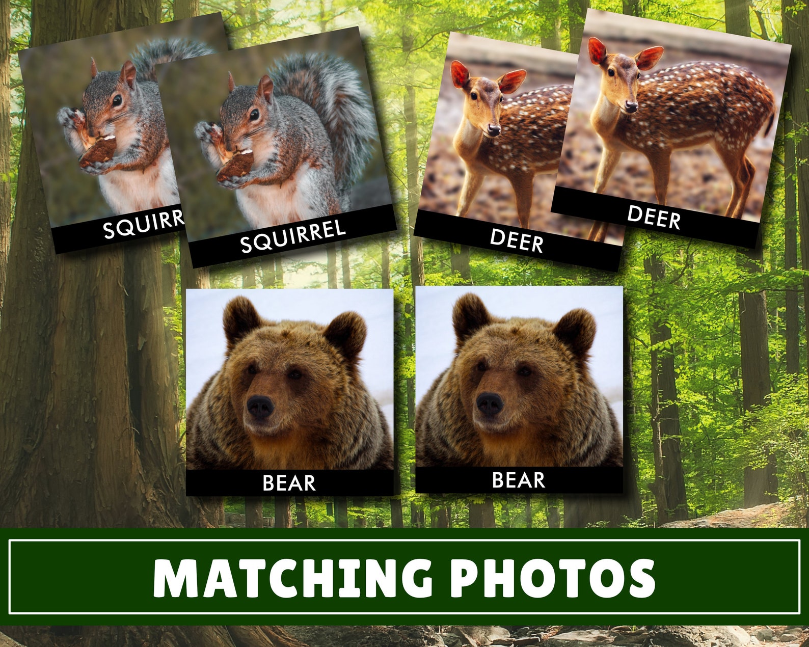 Forest Animals Matching Cards | Digital Download | Montessori Inspired ...