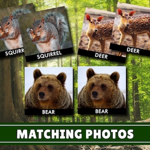 Forest Animals Matching Cards | Digital Download | Montessori Inspired ...