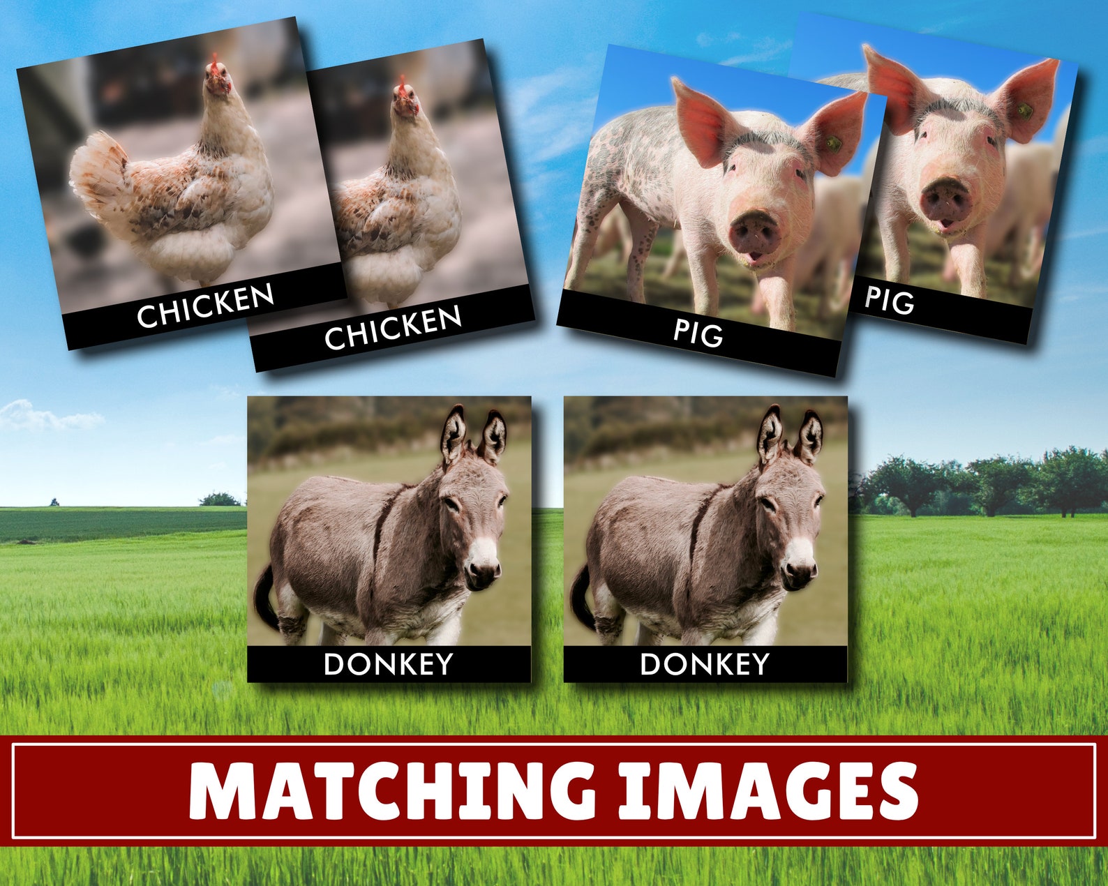 Farm Animals Matching and Identification Cards | Digital Download ...