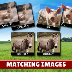 Farm Animals Matching and Identification Cards | Digital Download ...