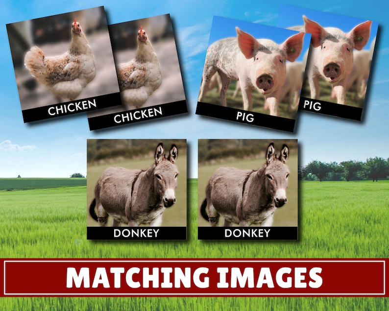 Farm Animals Matching and Identification Cards | Digital Download ...
