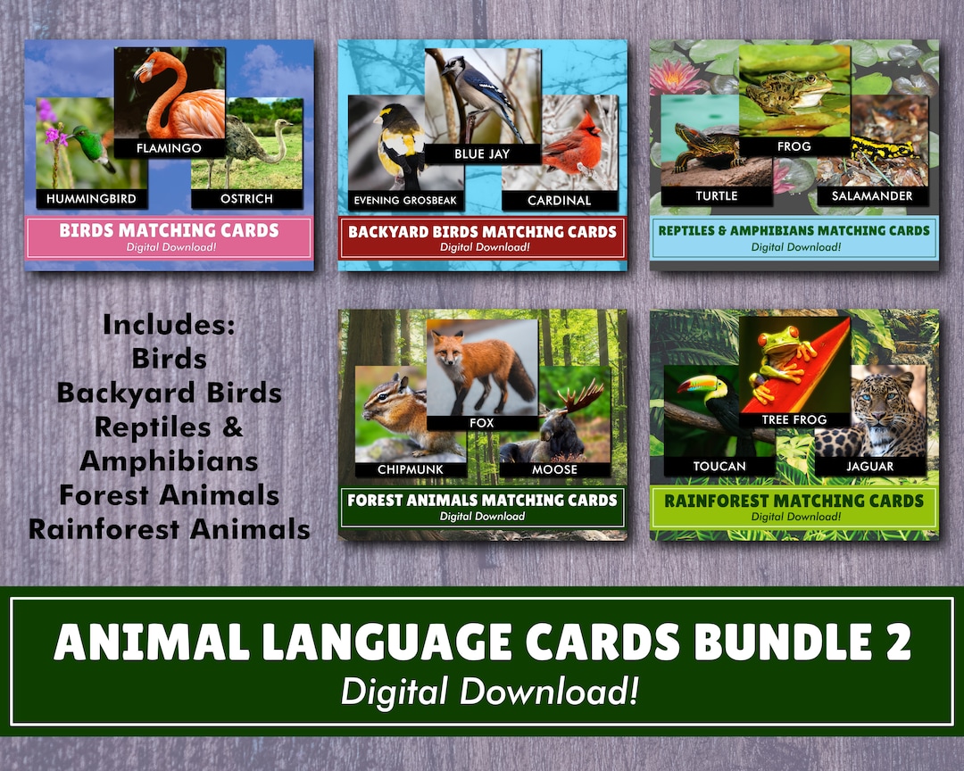 Animal Bundle Matching Language Cards | Digital Download | Montessori ...