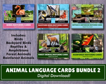 Rainforest Animals Matching Cards Digital Download - Etsy