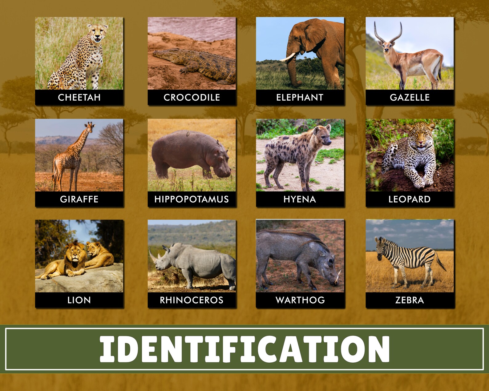 Savannah Animals Matching Cards With Bonus Fun Facts | Digital Download ...