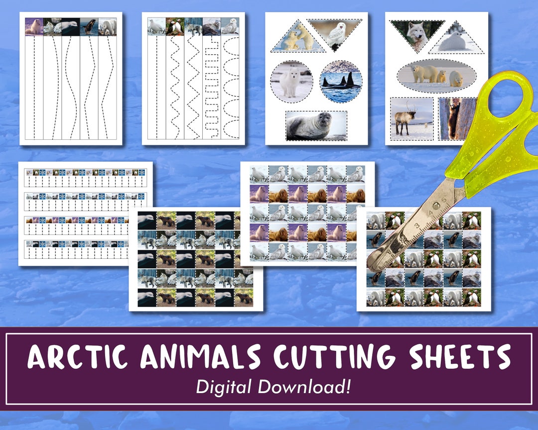 Arctic Animal Cutting Sheets | Digital Download | Montessori Inspired ...