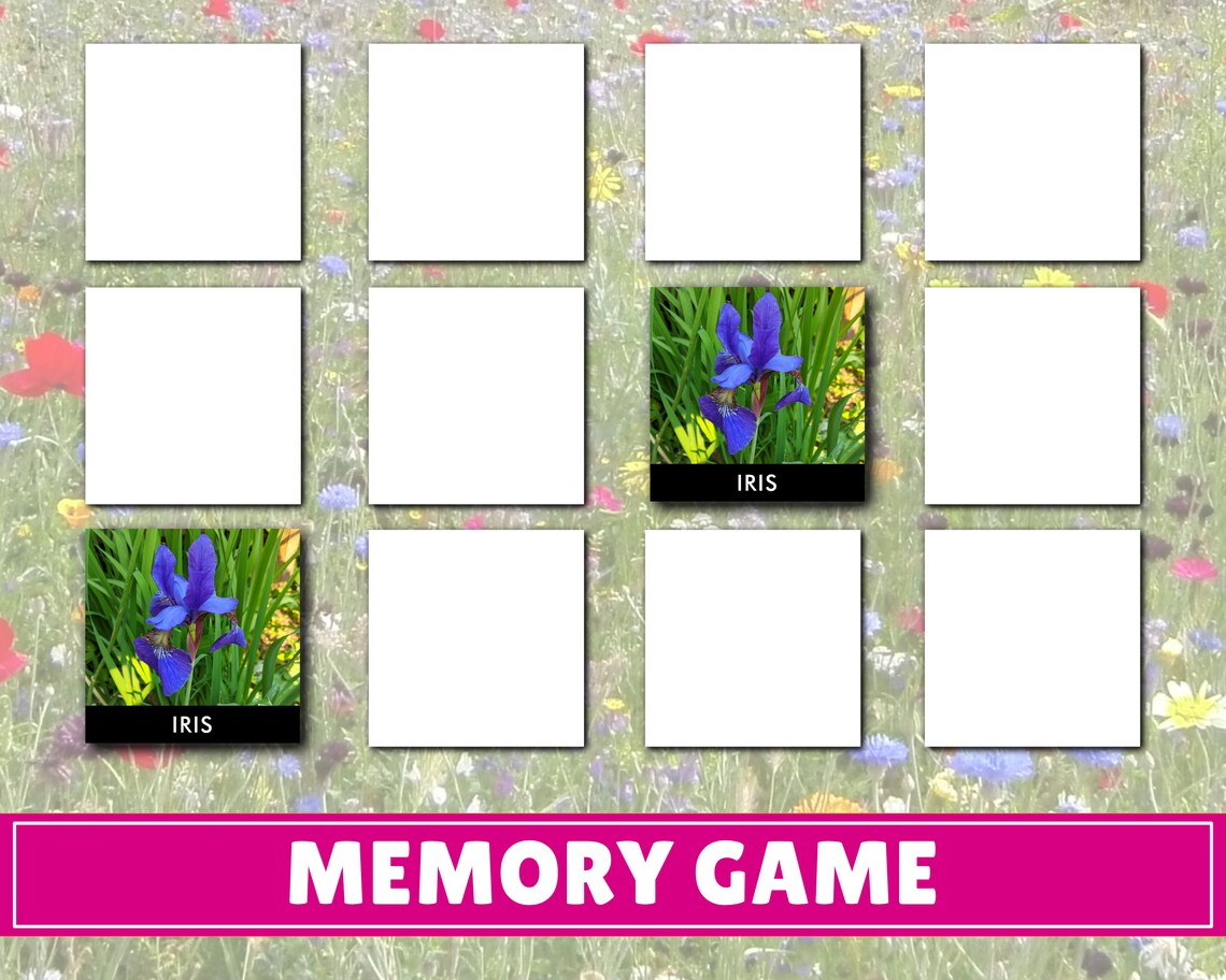 Flowers Matching Cards | Digital Download | Montessori Inspired ...