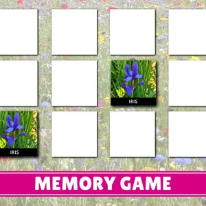 Flowers Matching Cards | Digital Download | Montessori Inspired ...