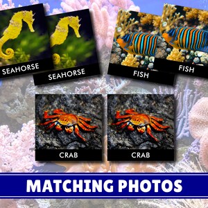 Ocean Animals Matching Cards | Digital Download | Montessori Inspired ...