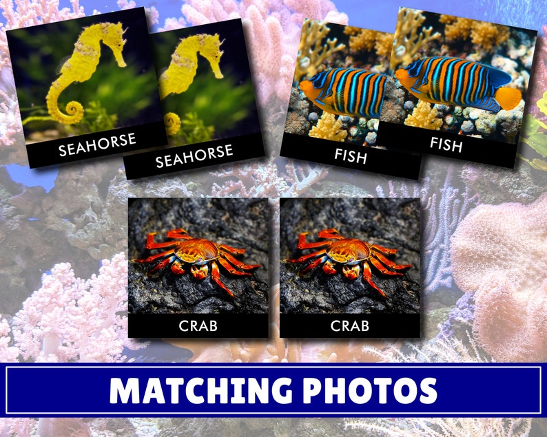 Ocean Animals Matching Cards | Digital Download | Montessori Inspired ...