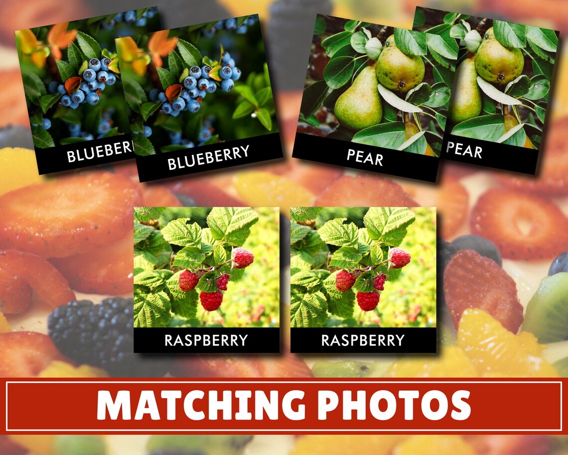 Fruit 3 Part Matching Cards Digital Download Montessori Inspired ...