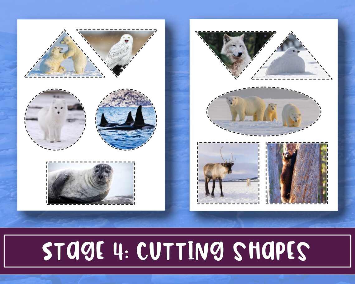 Arctic Animal Cutting Sheets Digital Download Montessori Inspired ...