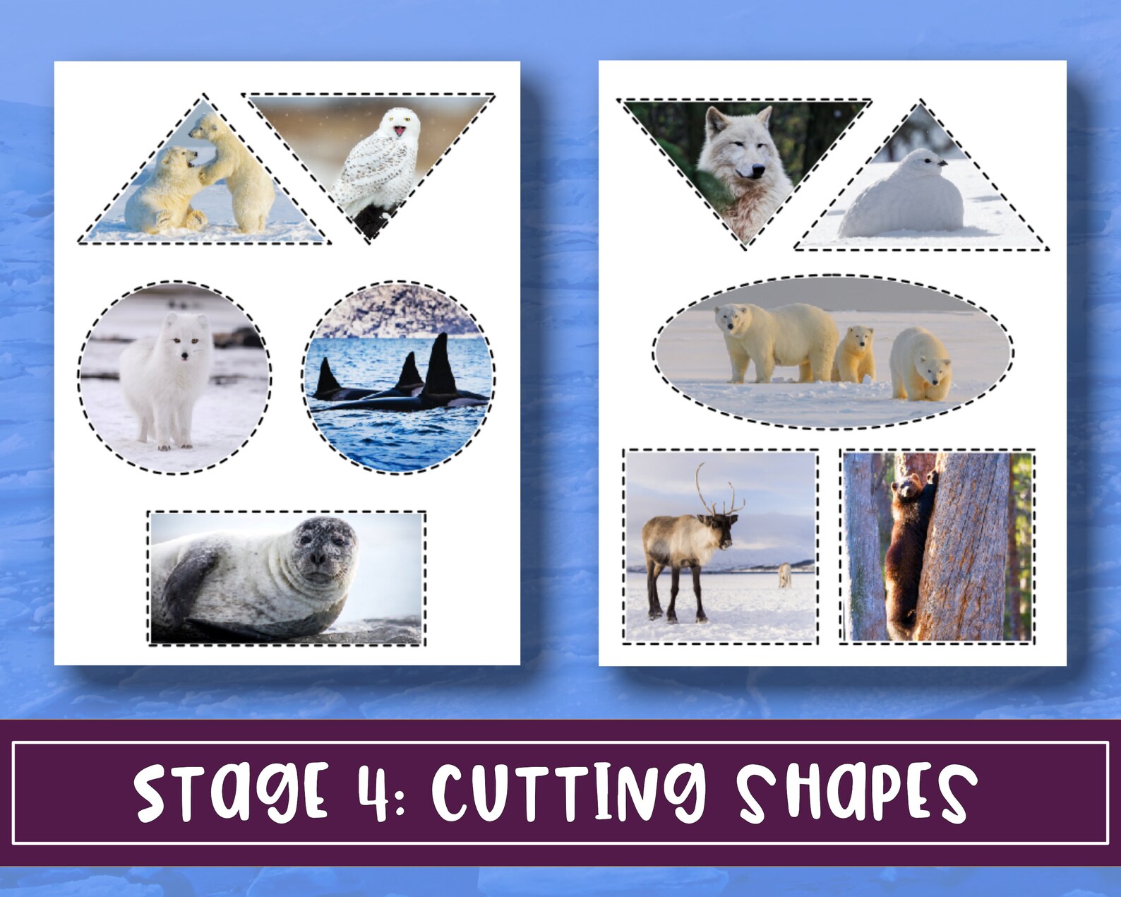 Arctic Animal Cutting Sheets | Digital Download | Montessori Inspired ...