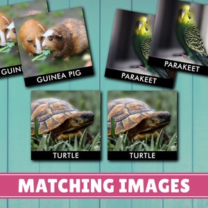Pets Matching and Identification Cards | Digital Download | Montessori ...
