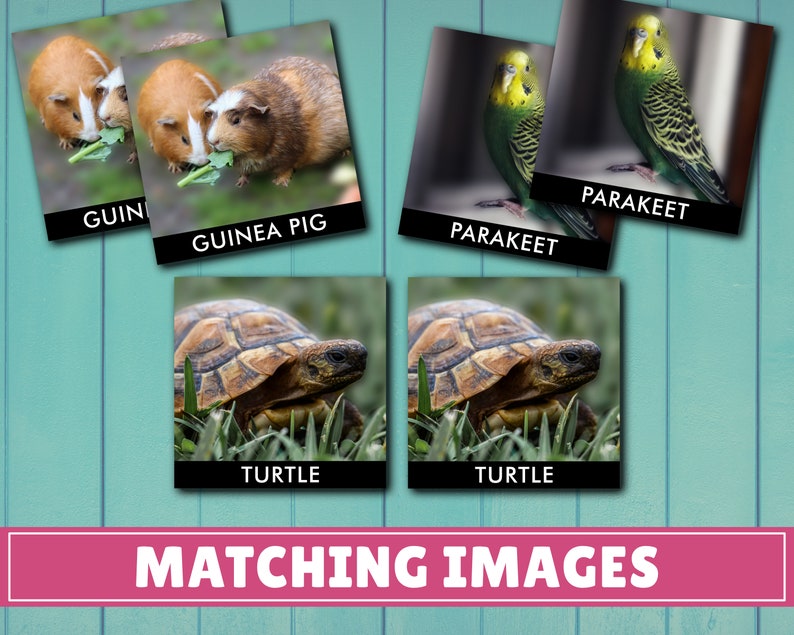 Pets Matching and Identification Cards | Digital Download | Montessori ...