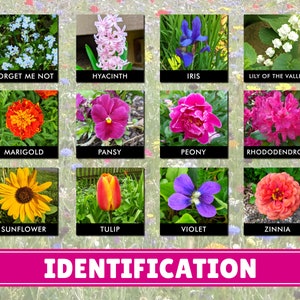 Flowers Matching Cards | Digital Download | Montessori Inspired ...