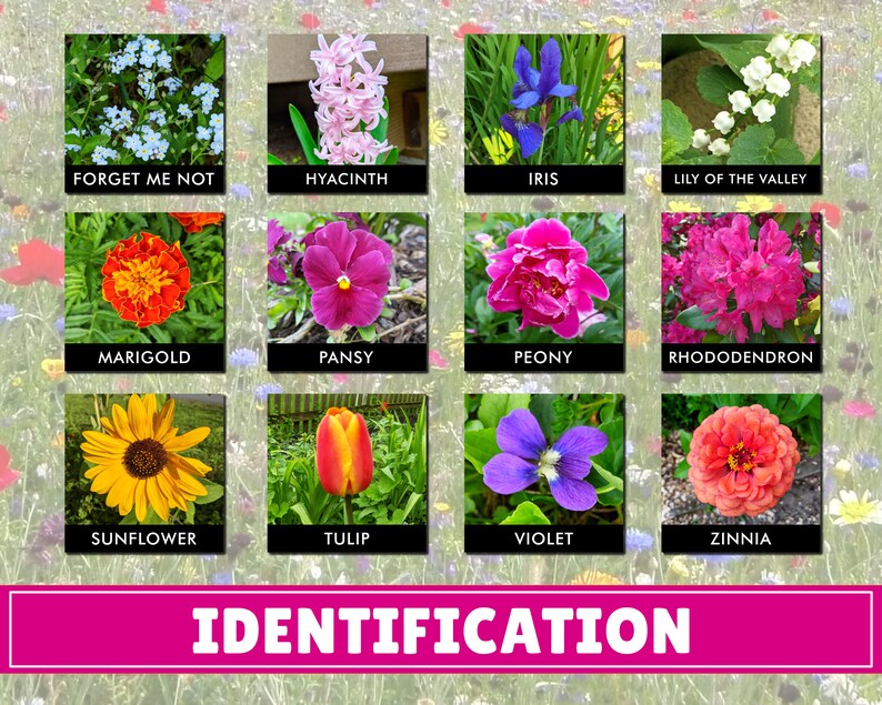 Flowers Matching Cards | Digital Download | Montessori Inspired ...