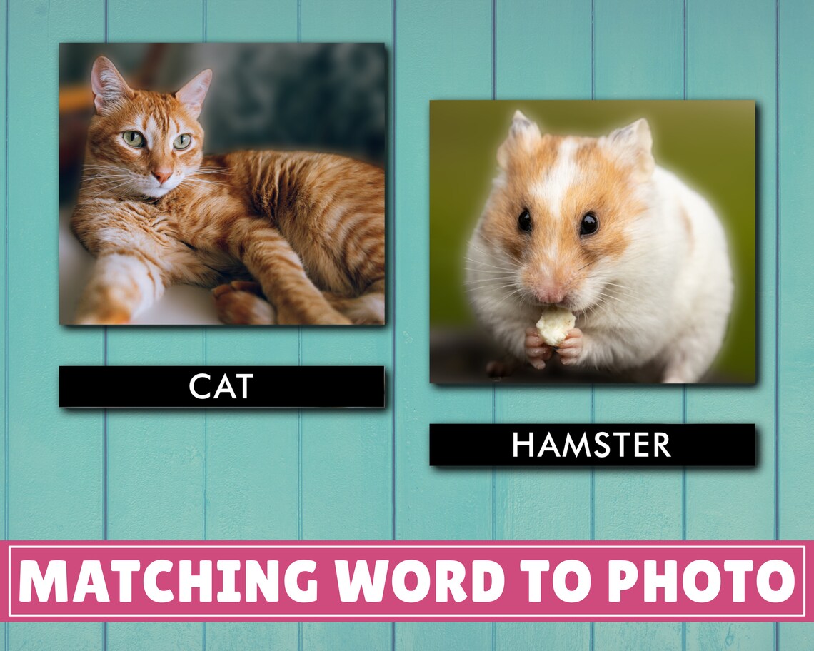 Pets Matching and Identification Cards Digital Download Montessori ...