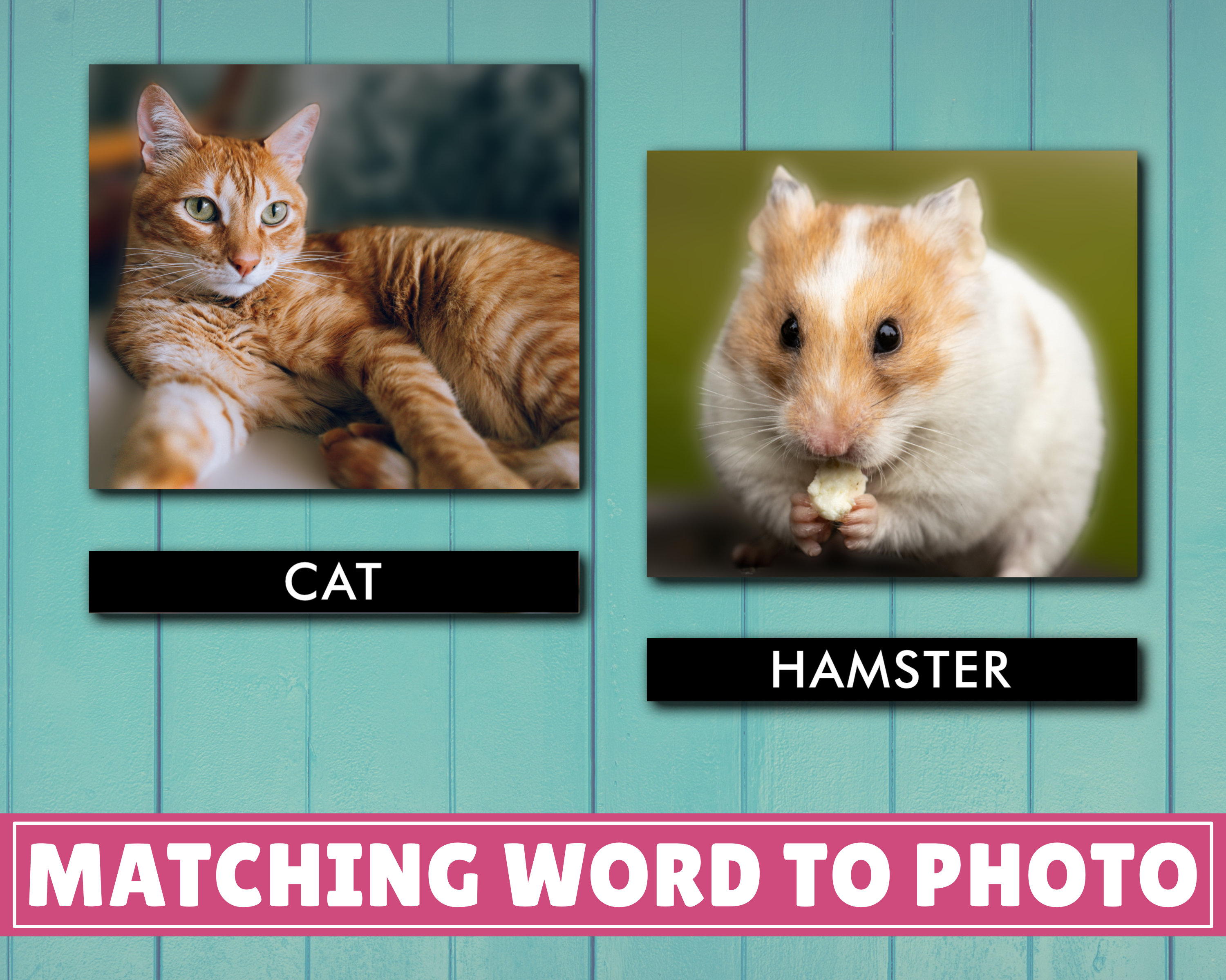 Pets Matching and Identification Cards | Digital Download | Montessori ...