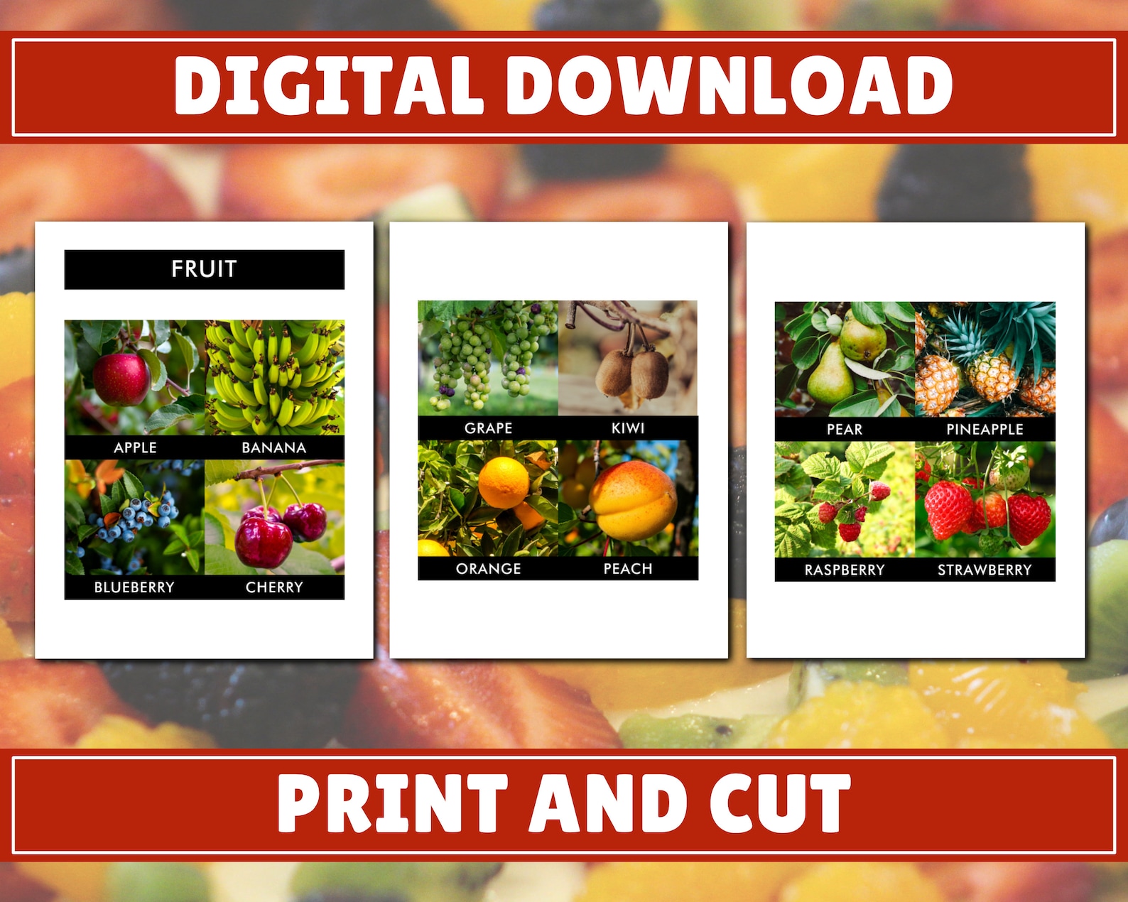 Fruit 3 Part Matching Cards Digital Download Montessori Inspired ...