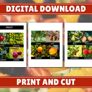 Fruit 3 Part Matching Cards | Digital Download | Montessori Inspired ...
