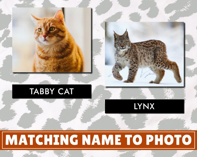 Cats Matching Cards | Digital Download | Montessori Inspired ...