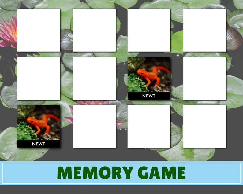 Reptiles & Amphibians Matching Cards | Digital Download | Montessori ...