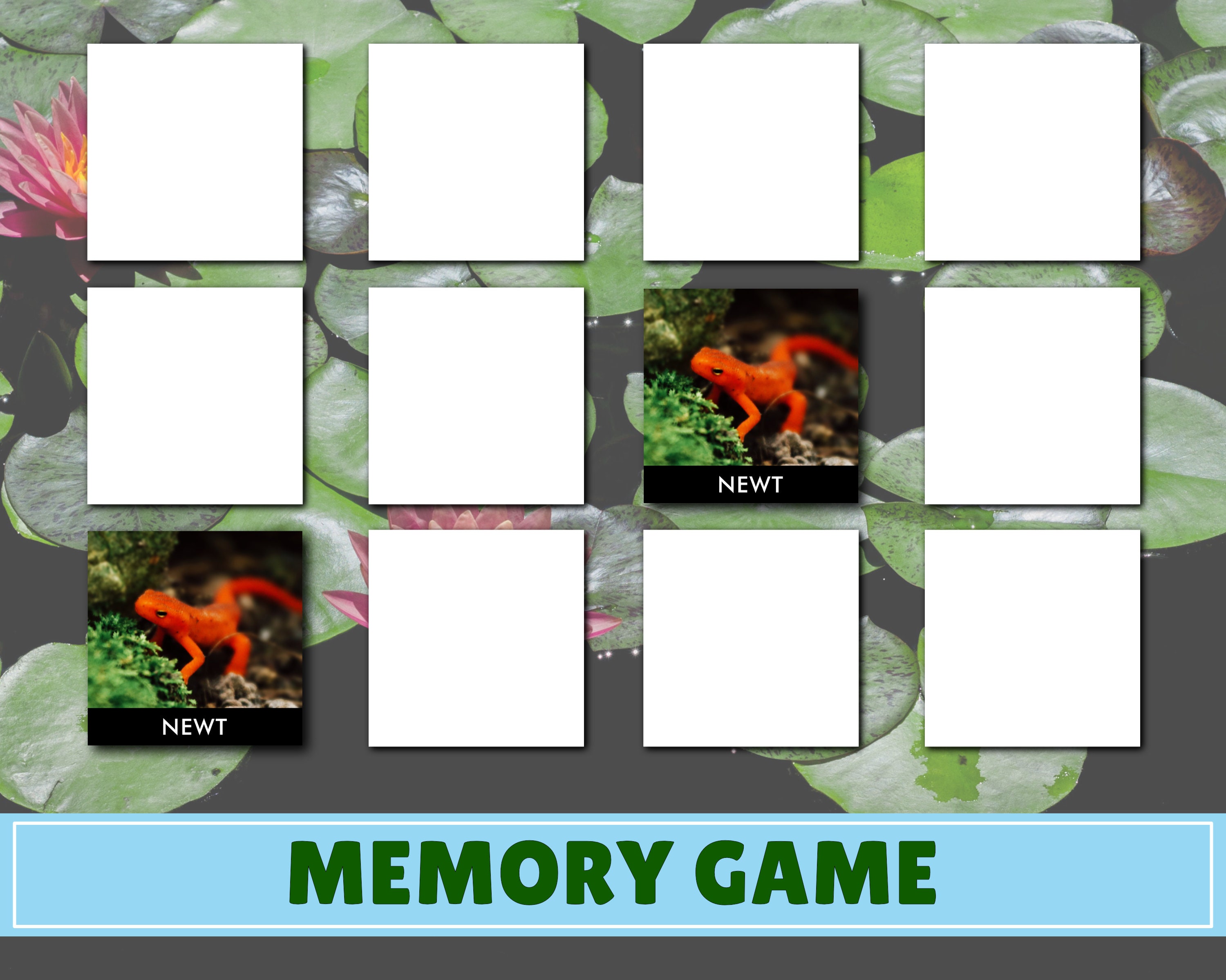 Reptiles & Amphibians Matching Cards | Digital Download | Montessori ...