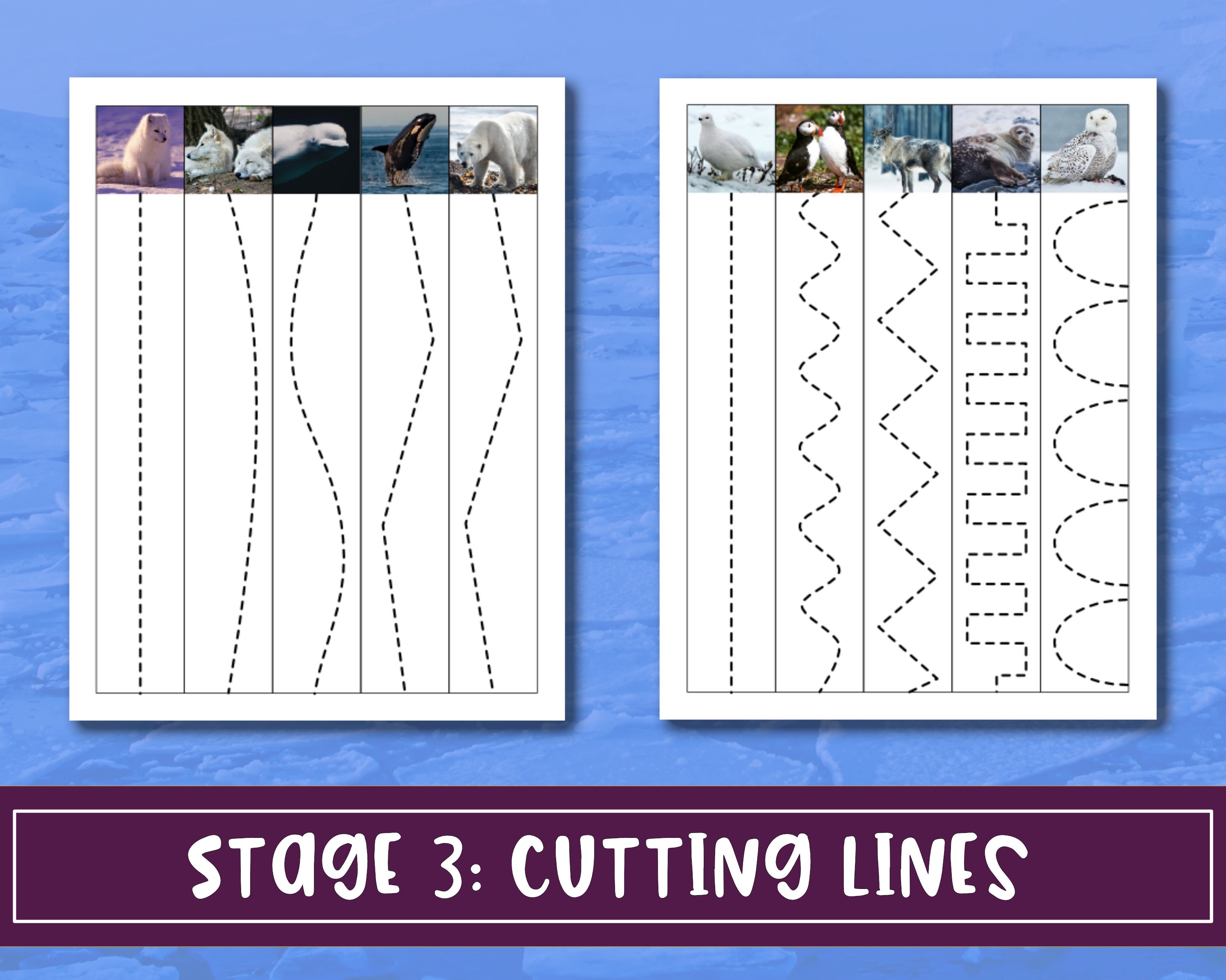 Arctic Animals Matching Cards and Scissor Sheets Bundle | Digital ...