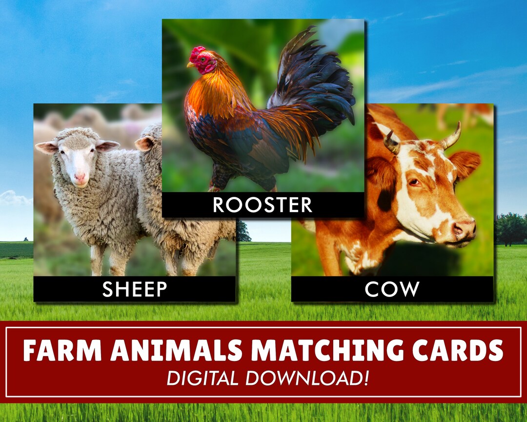 Farm Animals Matching and Identification Cards | Digital Download ...