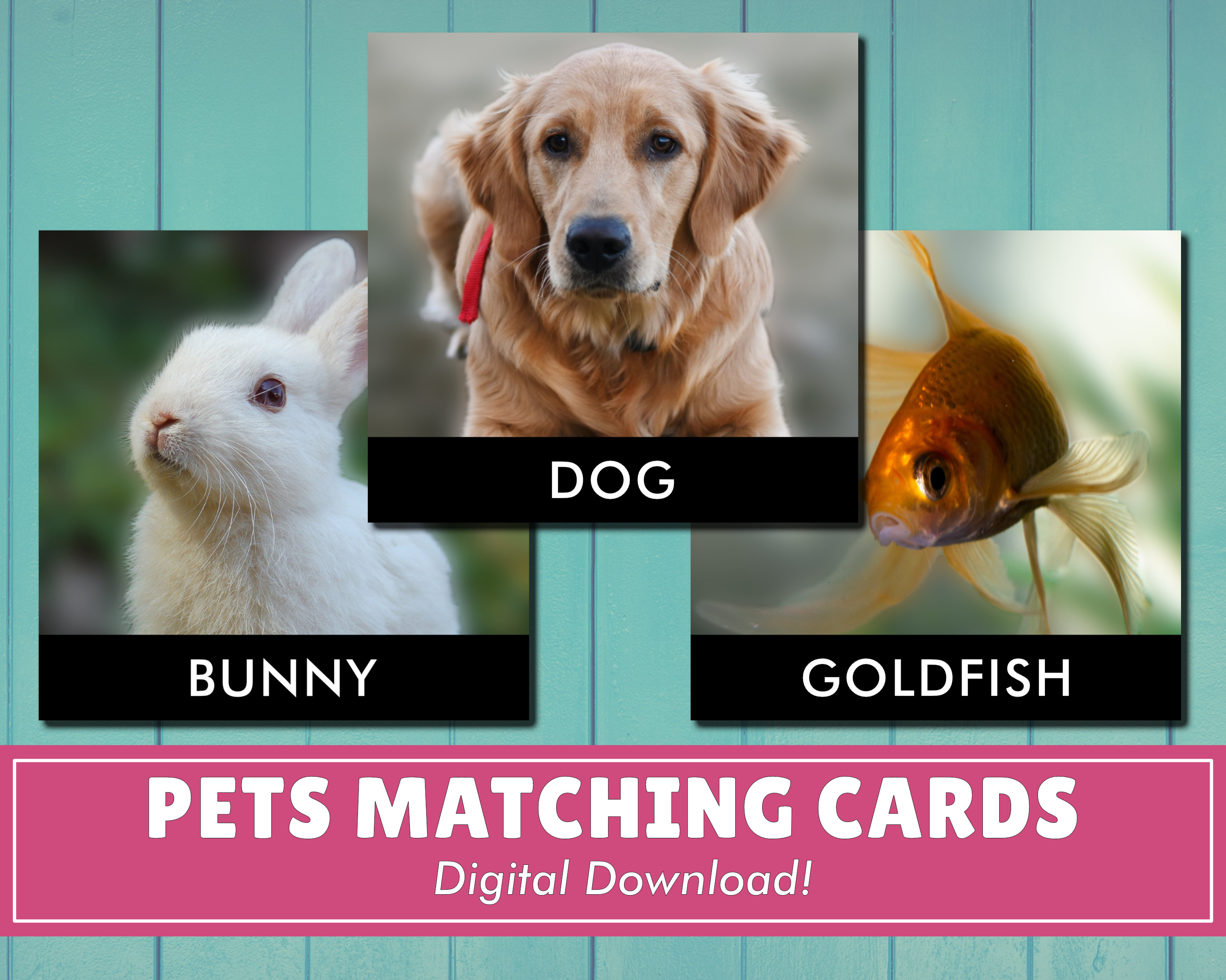 Pets Matching and Identification Cards | Digital Download | Montessori ...