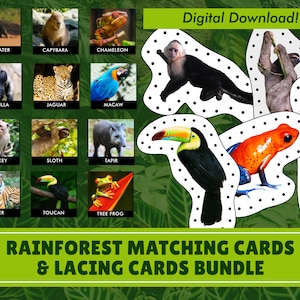Forest Animals Matching Cards Digital Download Montessori Inspired ...