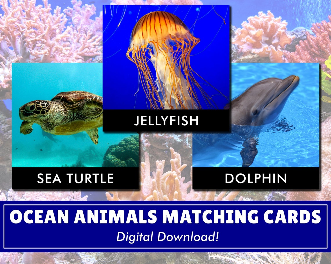 Ocean Animals Matching Cards Digital Download Montessori Inspired ...