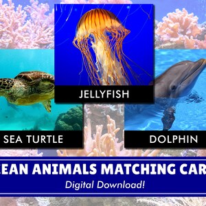 Ocean Animals Matching Cards | Digital Download | Montessori Inspired ...