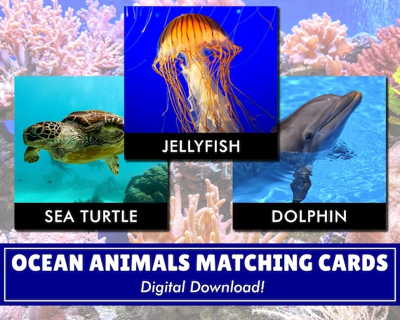 Ocean Animals Matching Cards Digital Download Montessori | Etsy