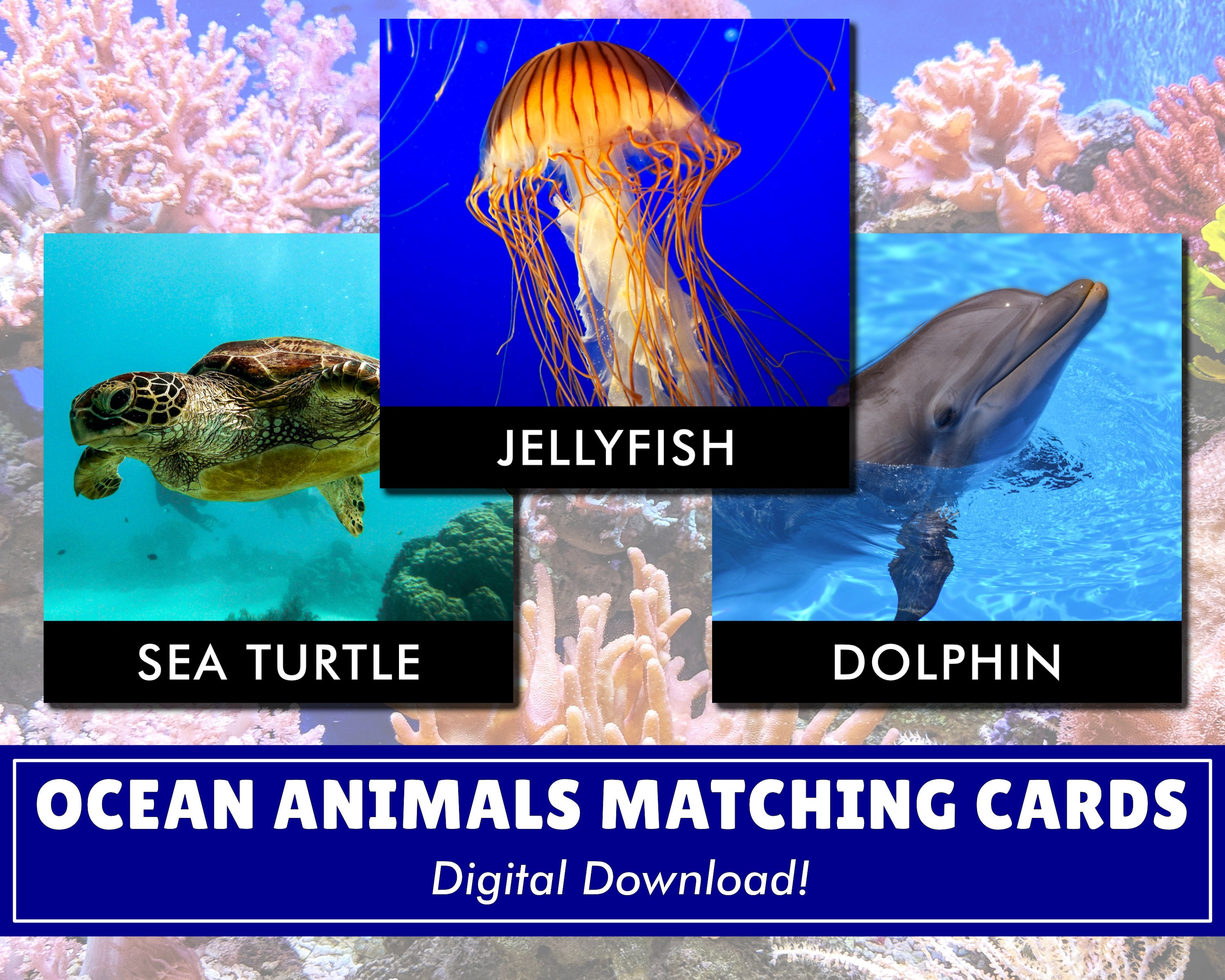 Ocean Animals Matching Cards | Digital Download | Montessori Inspired ...