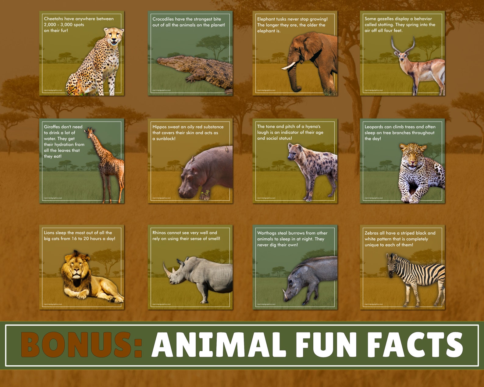 Savannah Animals Matching Cards With Bonus Fun Facts Digital Download ...