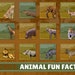 Savannah Animals Matching Cards With Bonus Fun Facts | Digital Download ...