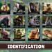 Primates Matching Cards | Digital Download | Montessori Inspired ...