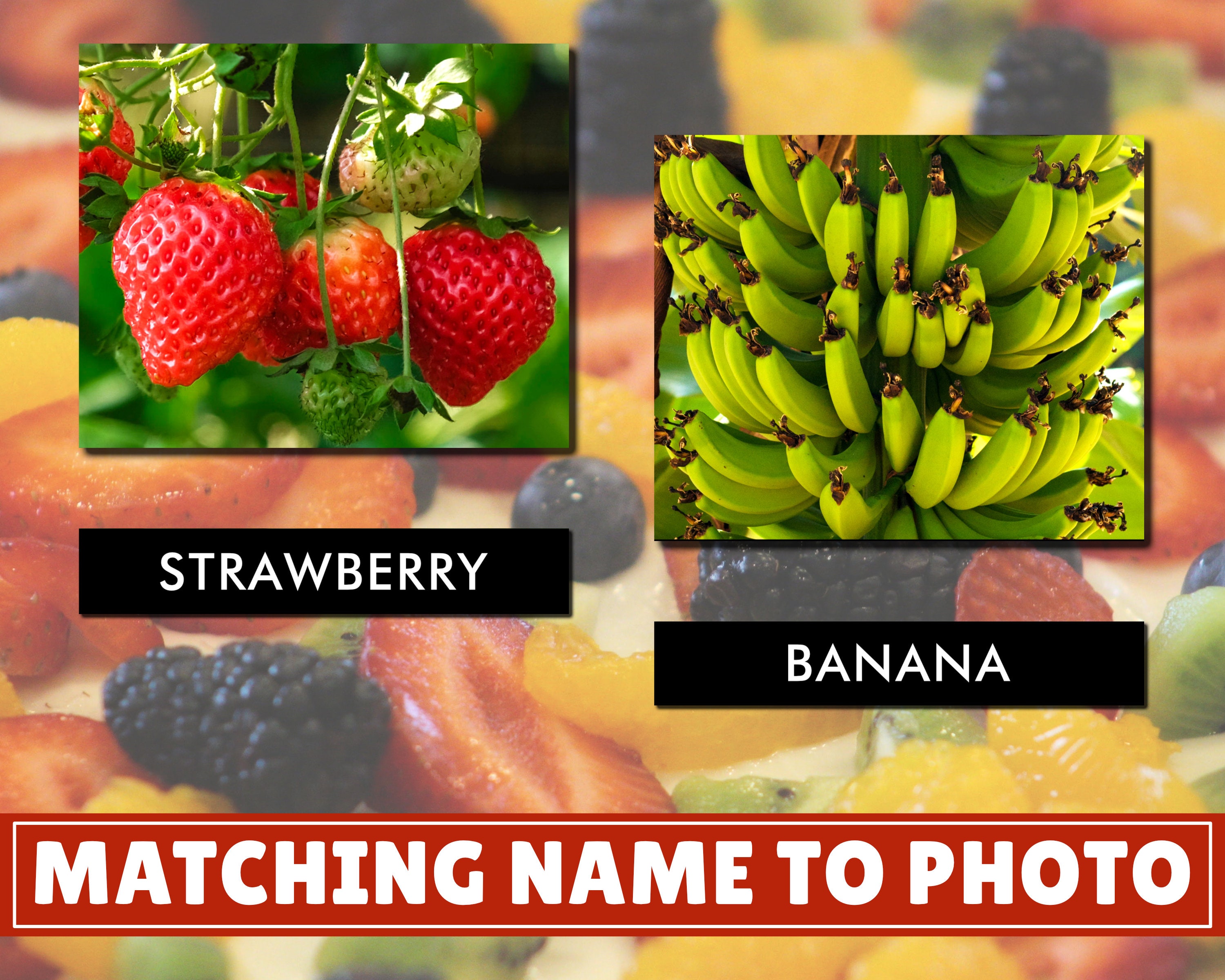 Fruit 3 Part Matching Cards | Digital Download | Montessori Inspired ...