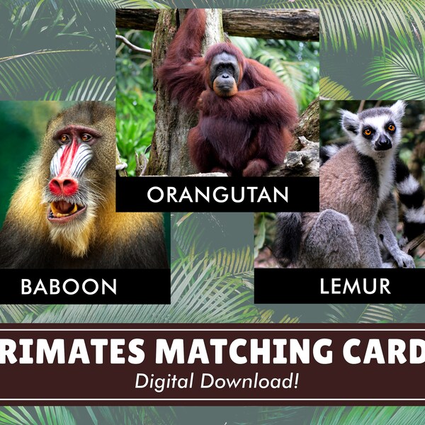 Forest Animals Matching Cards Digital Download Montessori Inspired ...