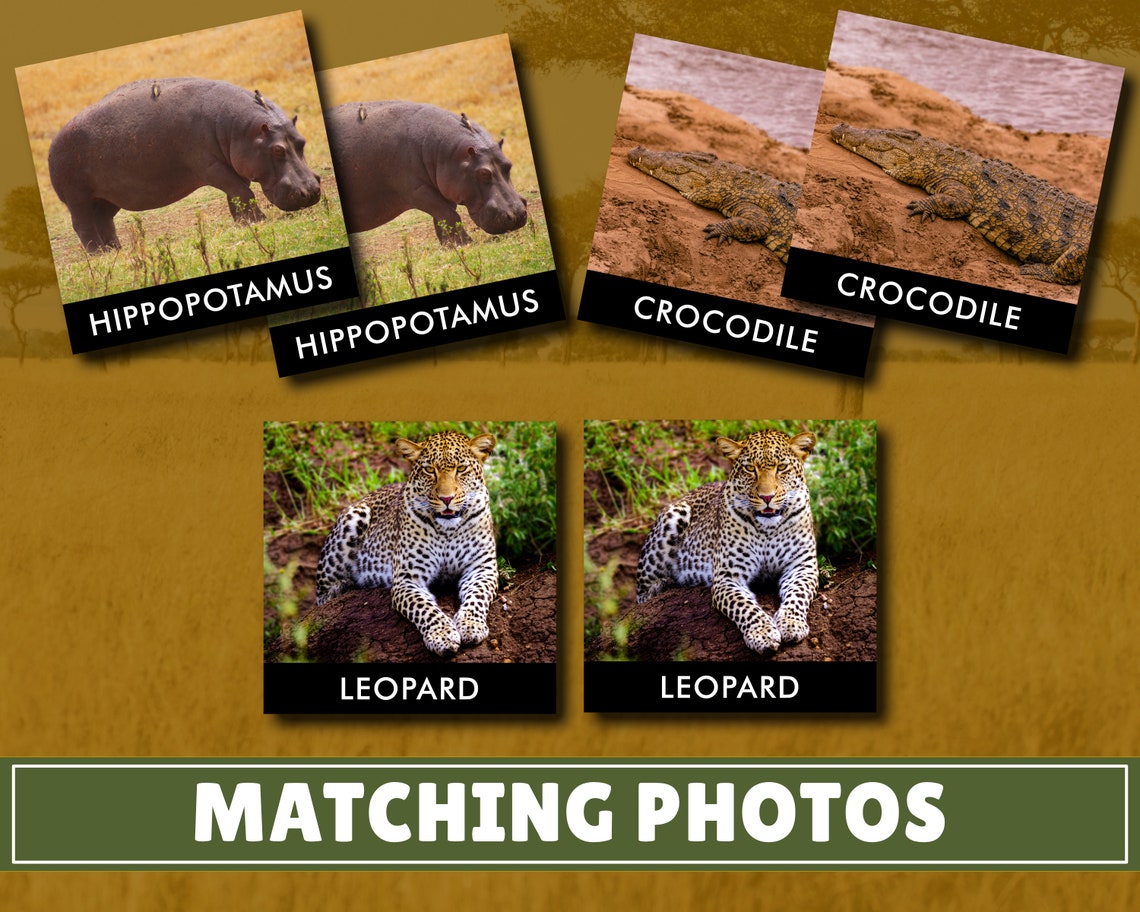 Savannah Animals Matching Cards With Bonus Fun Facts | Digital Download ...