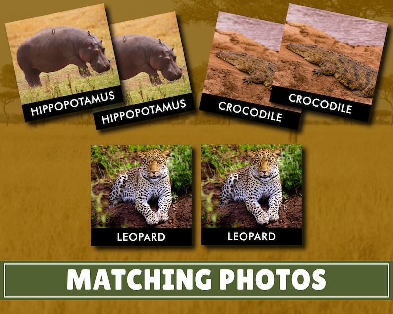 Savannah Animals Matching Cards With Bonus Fun Facts | Digital Download ...