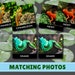 Reptiles & Amphibians Matching Cards | Digital Download | Montessori ...
