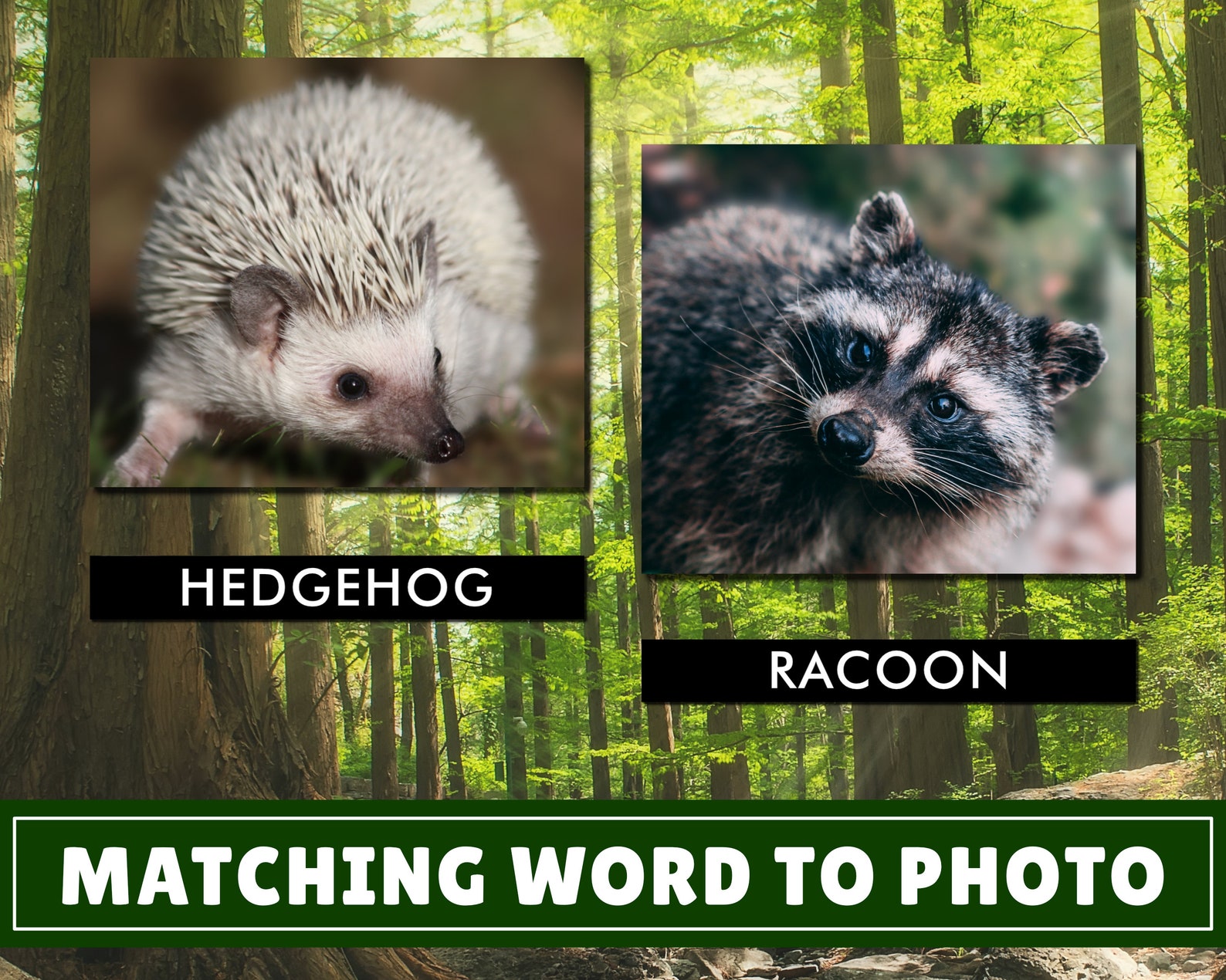 Forest Animals Matching Cards | Digital Download | Montessori Inspired ...